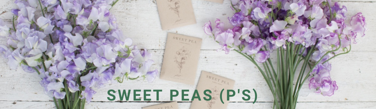 How God grows sweet peas by Sandy Mace 2